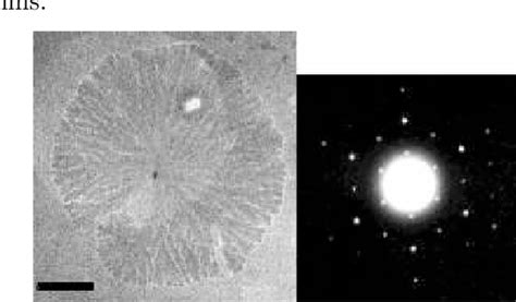 Figure 4 From Growth Rate Of Isotactic Polystyrene Crystals In Thin