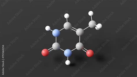 Thymine Molecular Structure Nucleobases Ball And Stick 3d Model Structural Chemical Formula