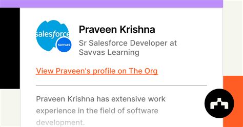 Praveen Krishna Sr Salesforce Developer At Savvas Learning The Org
