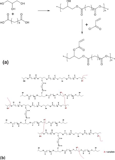 A Modification Of Polyglycerol Sebacate Pre Polymer With Acrylate