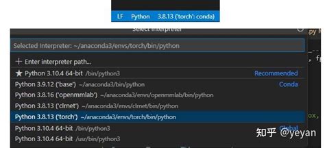 Vscode Python调试 Torchpack Attach调试 知乎