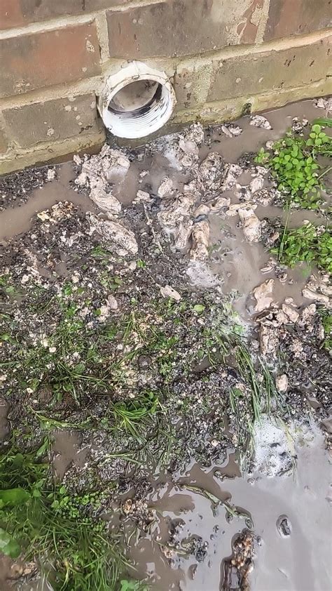 Home Sanitary Drain System Expert Tips And Services