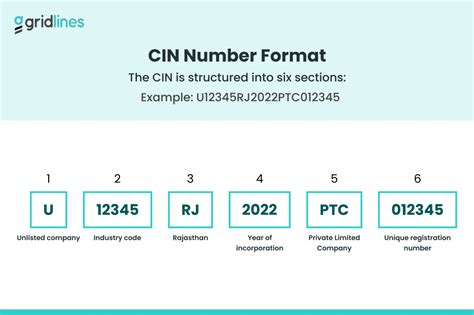 Understanding The Cin Number A Comprehensive Guide