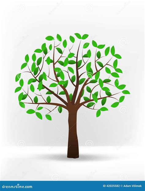 Isolated Green Leafy Summer Tree Vector Stock Vector Illustration Of