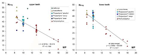 Evolution Of The Relative Height Of The Check Teeth Labial Cingulum