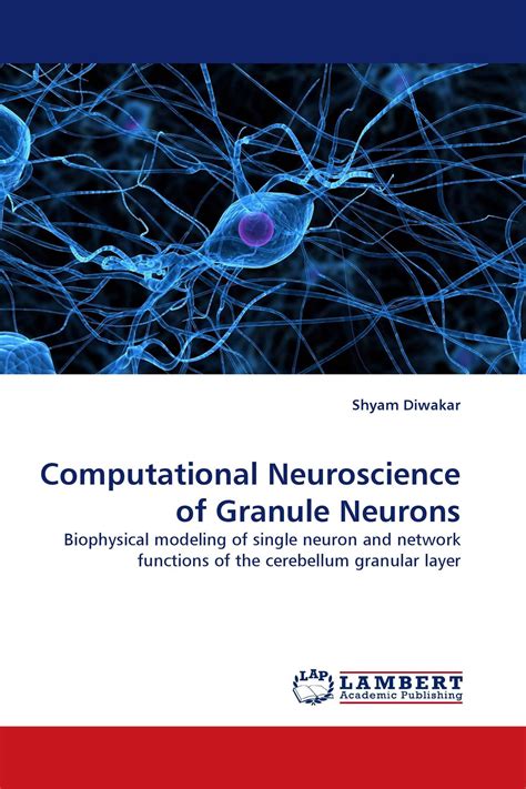 Computational Neuroscience Of Granule Neurons 978 3 8443 2488 4 9783844324884 3844324887