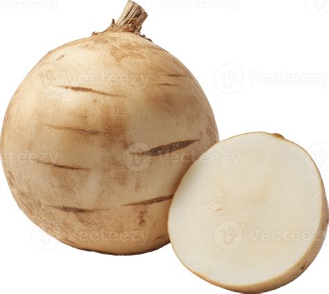 Fresh Jicama Root Isolated 54967786 Png