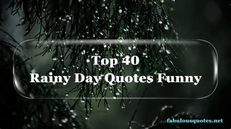 Top 40 Rainy Day Quotes Funny Funniest Quotes And Sayings That Will