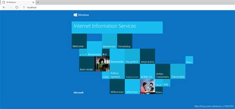 windows iis服务教程 csdn博客