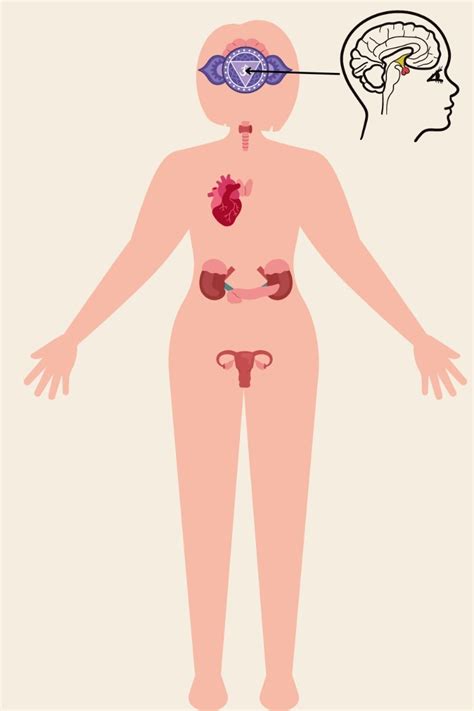 Chakra System Artofit