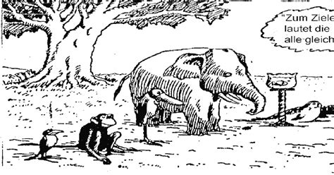 Hansruedi Haru Vetsch Schule Der Tiere