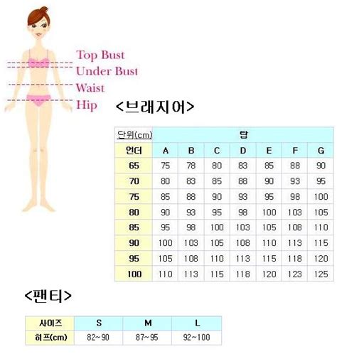 속옷 사이즈 재는법 가슴둘레 재는법 네이버 블로그