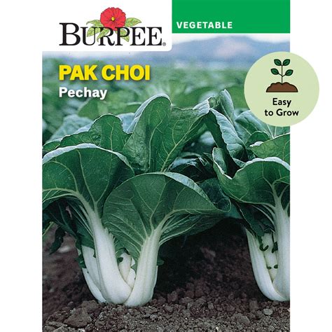 Burpee Pechay Pak Choi Chinese Cabbage Vegetable Seed 1 Pack