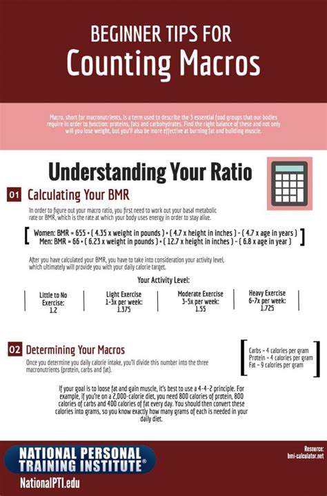 Beginner Tips For Counting Macros National Personal Training Institute