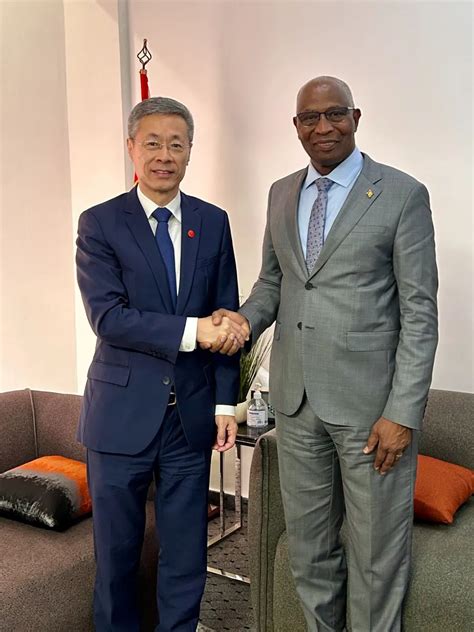 《西非华声》 I 几内亚：黄巍大使辞行拜会总理乌里几内亚新闻华人头条