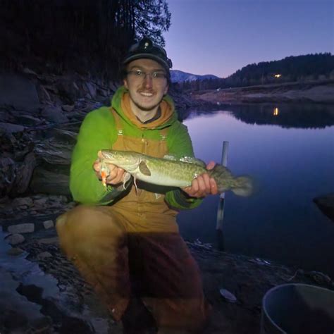 Help Fish And Game Study Burbot In Kootenai River—and Earn Rewards
