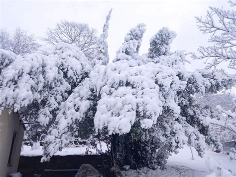 მოვამზადებ მოსწავლეებს 1 დან 9 კლასის ჩათვლით