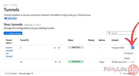 How To Set Up Cloudflare Tunnel On Home Assistant Pi My Life Up