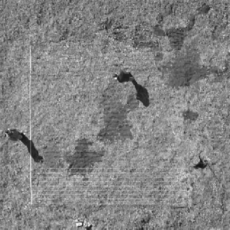 The GPR Investigation Download Scientific Diagram