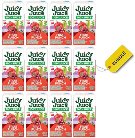 Juicy Juice 12ct Fruit Box Bundle Fruit Punch 4 23oz Fruit Juice 100