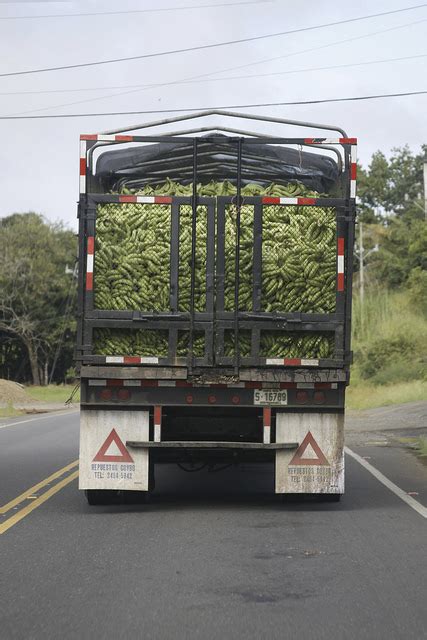 Getting Incomplete Caption Sentences When Using Model Fine Tuned With CIDEr Optimization Issue