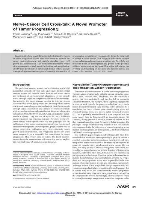 Pdf Nerve Cancer Cell Cross Talk A Novel Promoter Of Tumor Progression
