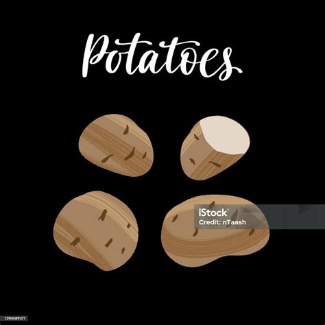 껍질을 벗기지 않은 감자 덩이줄기 건강한 영양을 위한 탄수화물 갈색에 대한 스톡 벡터 아트 및 기타 이미지 갈색 건강한 식생활 날것 Istock