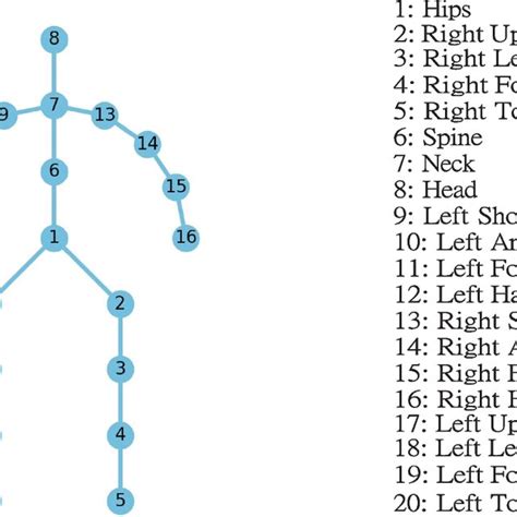 The Overview Of The Skeleton Structure Download Scientific Diagram