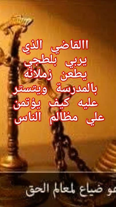 بالاسكندريه حادثة طعن ابن القاضي لزملائه بمطواة وتستر القاضي عليه Youtube