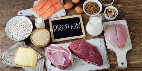 10 Best High Rich Protein Foods For A Healthy Diet