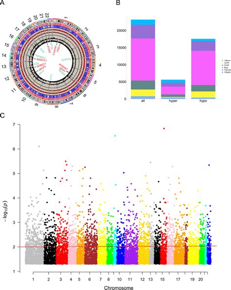 Differential Dna Methylation Distribution A Circus Plot Of Cpgs Download Scientific Diagram