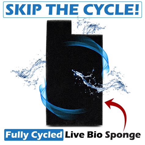 Tmc Kreisel Skip The Cycle Kit Jellyfish Art