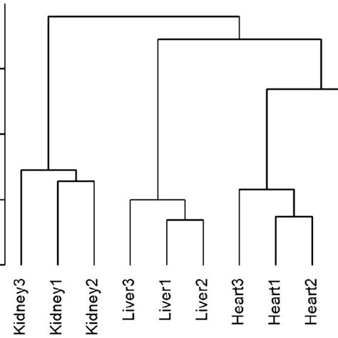 Hierarchical Cluster Analysis Hca Dendrogram Based On The Euclidian