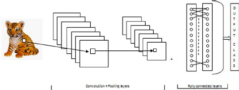 Figure 11 From Deep Residual Learning For Image Classification Using Cross Validation