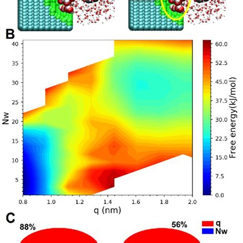 A Schematic Illustration Of Two Collective Variables Of Interest N W Download Scientific