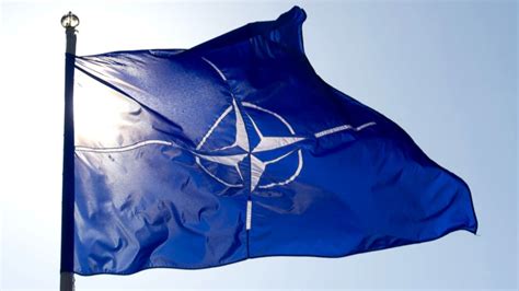 What Is NATO Video ABC News