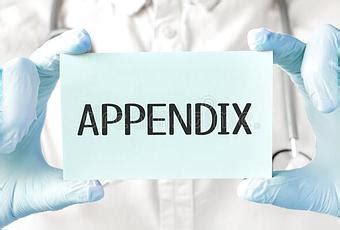 How To Insert An Appendix In A PowerPoint Presentation 12 Unique Ideas