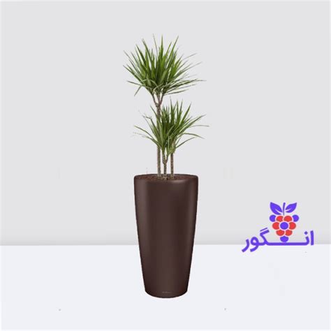 دراسنا پرچمی بزرگ ویژه شرکت ها سایز 140 150 سانتی انگور