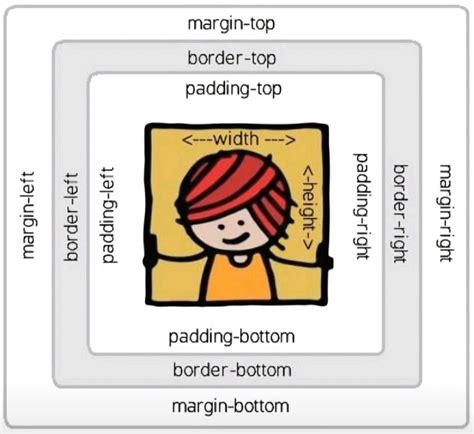 Kunchala Srinu On Linkedin The Basics Of The Css Box Model Content Area This Is Where Your Actual