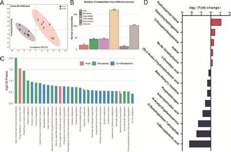 Core Microbe Bifidobacterium In The Hindgut Of Calves Improves The