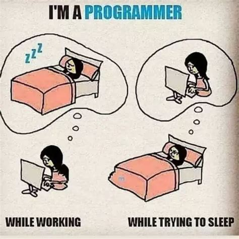 Marije Kromkamp On Linkedin The Programmer Life Cycle