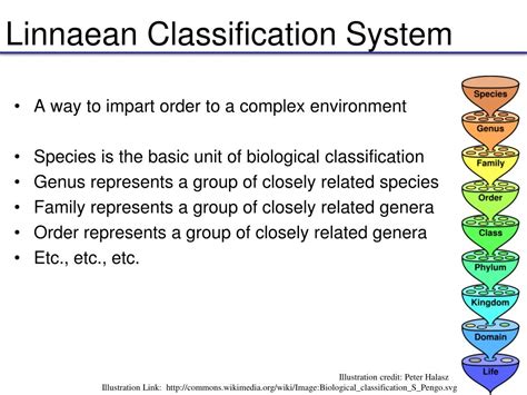 Ppt Master Gardener Information Statewide Program Powerpoint Presentation Id 4787442