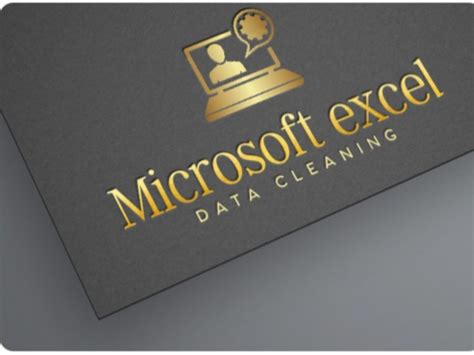A Microsoft Excel Data Cleaning And Data Entry Upwork