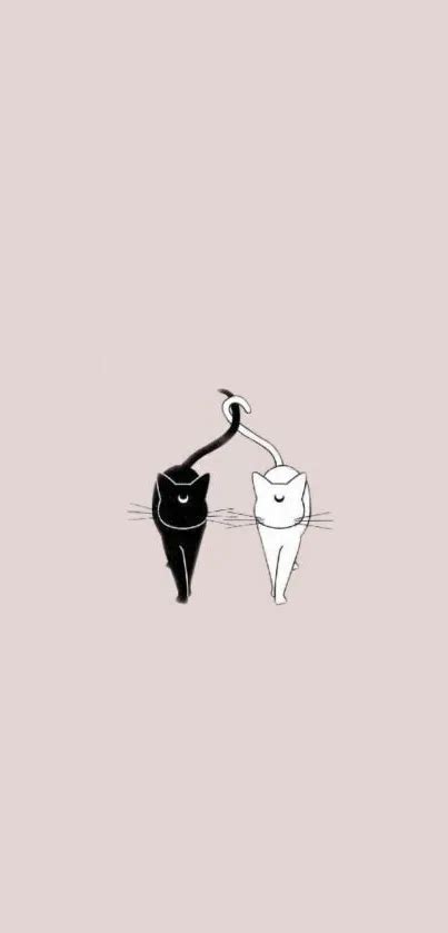 Cute Minimalist Cat Wallpaper Free Download
