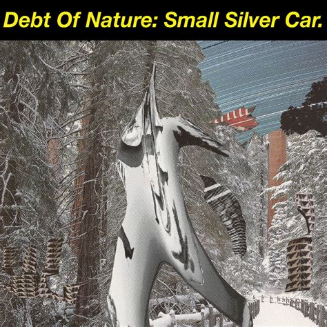 Small Silver Car Debt Of Nature Lal Lal Lal
