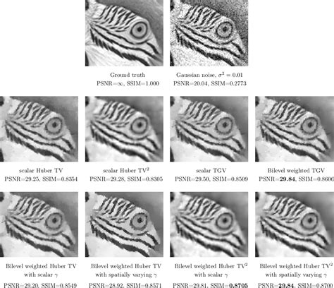 Figure 2 From Bilevel Training Schemes In Imaging For Total Variation Type Functionals With