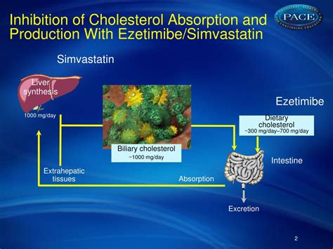 Ppt New Approaches To Ldl Reduction Powerpoint Presentation Free