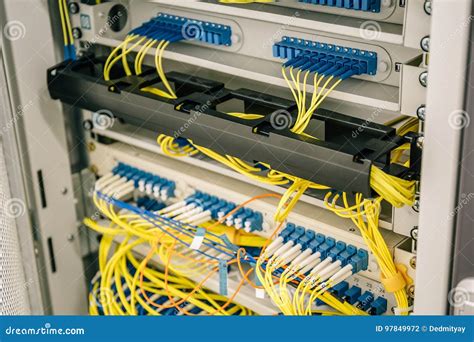 Network Cables Connected To Switches Ports In Datacenter Cupboard Web Or Cellular Server
