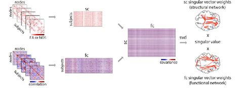 pls analysis sc and fc data matrices were organized by stacking the