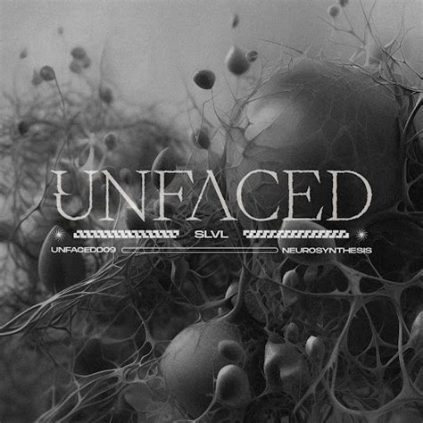 Medulla Ls41 Remix Youtube Music